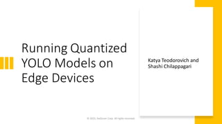 QuantYOLOModels.pdf | Cloud Computing | Internet