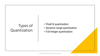 QuantYOLOModels.pdf | Cloud Computing | Internet