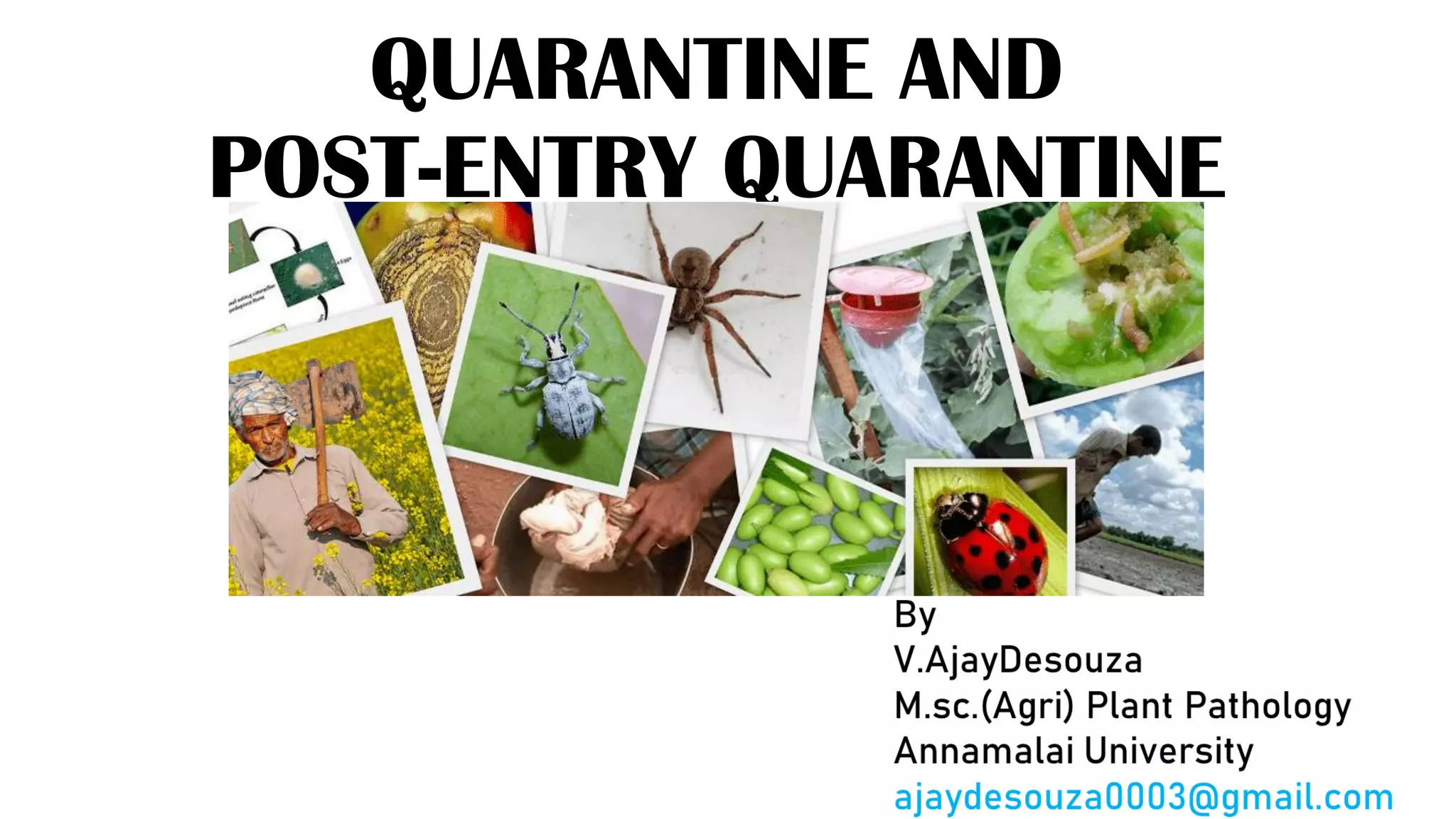 QUARANTINE AND POST-ENTRY QUARANTINE.pdf