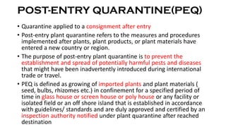 QUARANTINE AND POST-ENTRY QUARANTINE.pdf