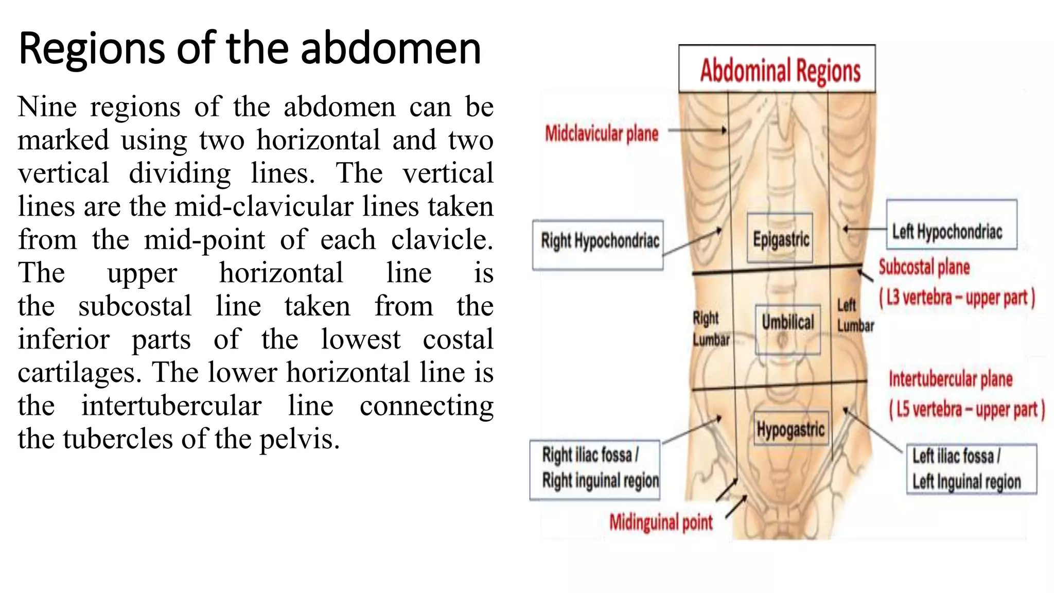 Quardents and regions of Human body.pptx