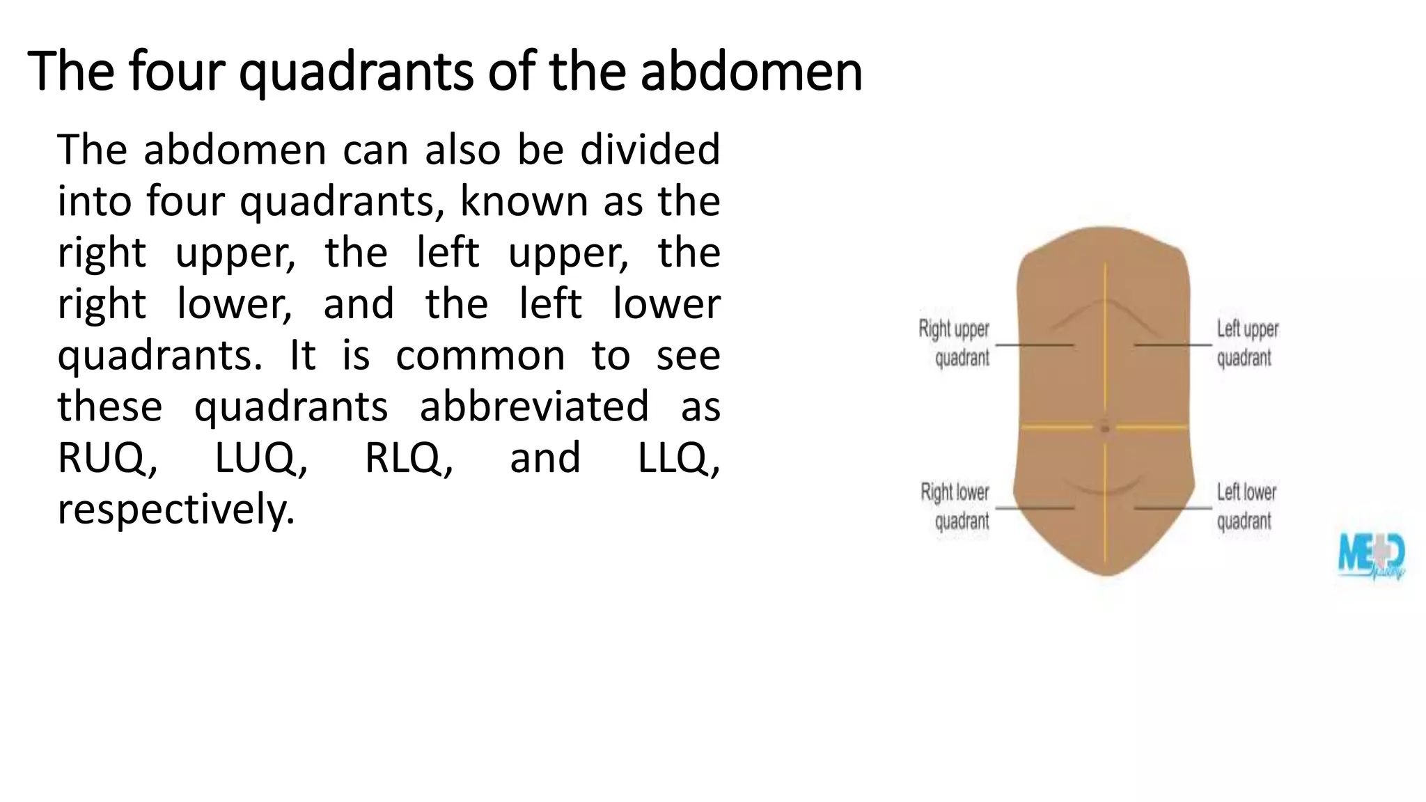 Quardents and regions of Human body.pptx