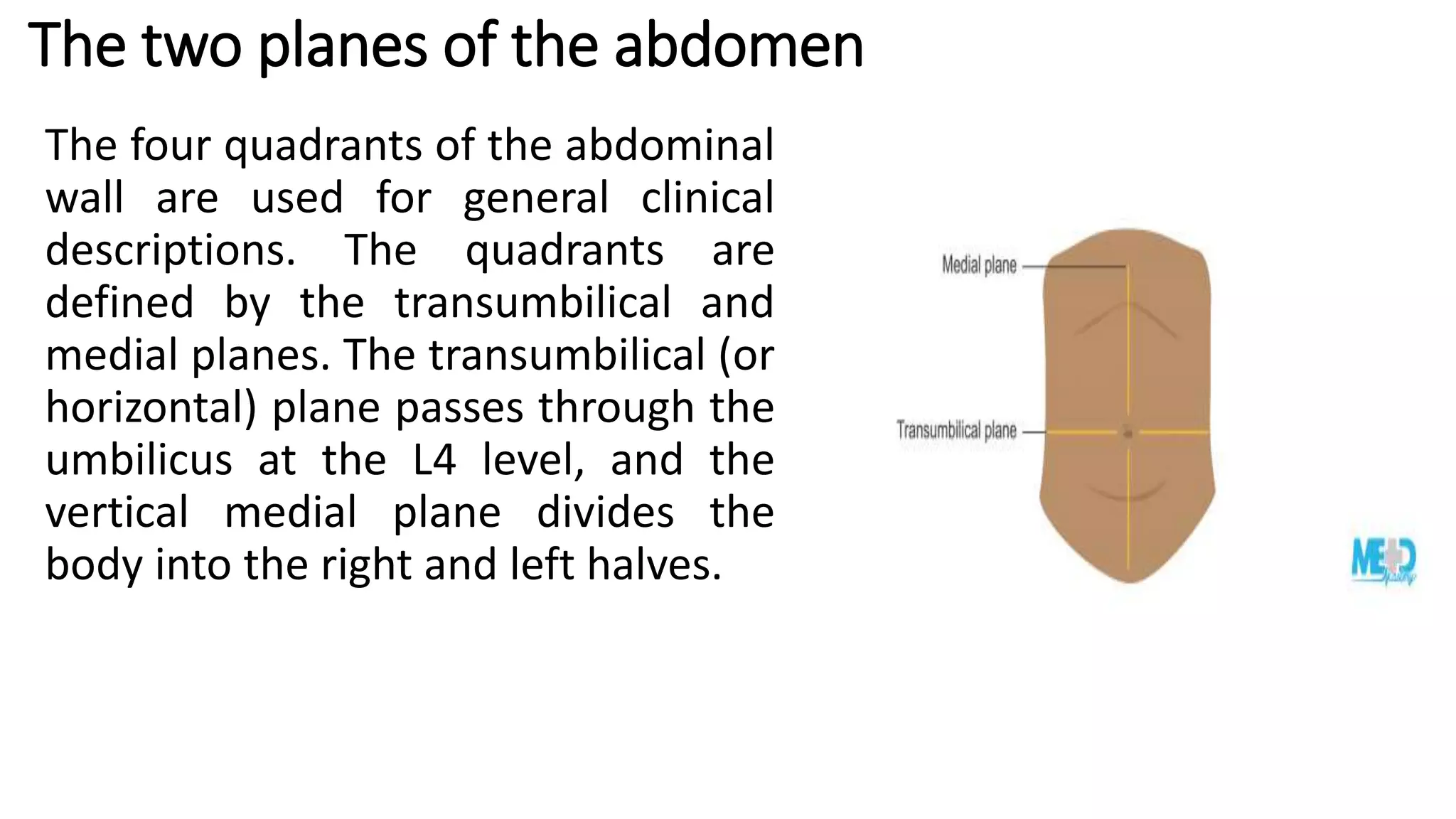 Quardents and regions of Human body.pptx