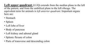 Quardents and regions of Human body.pptx