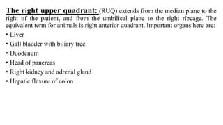 Quardents and regions of Human body.pptx