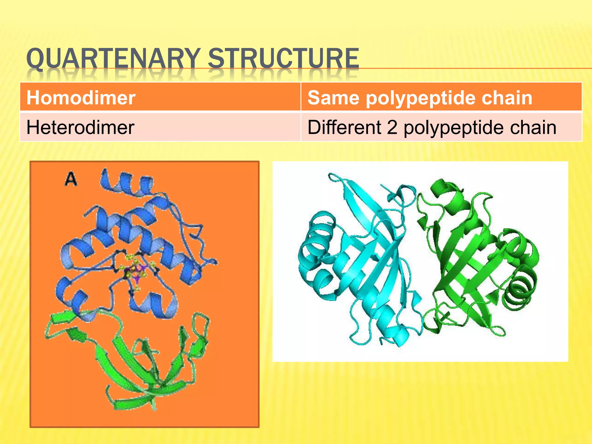 Quartenary structure of protein | PPTX