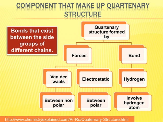 Quartenary structure of protein | PPT