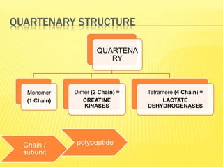 Quartenary structure of protein | PPT