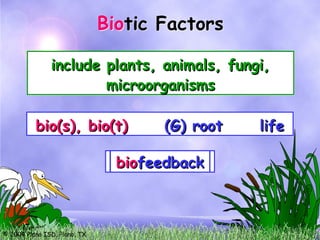 quarter-2-Abiotic-and-Biotic-components.ppt