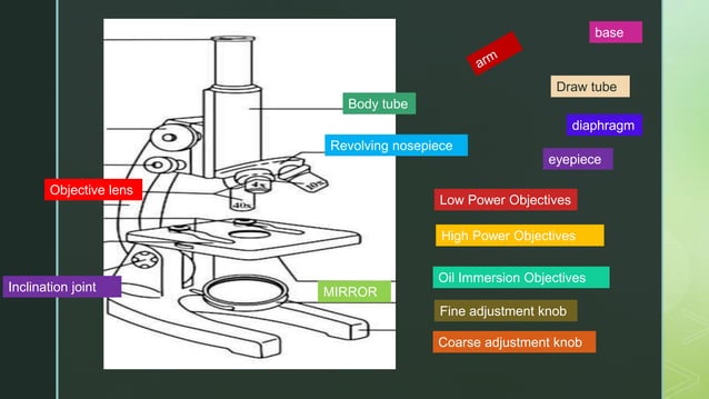 quarter-2-module-1-Parts-and-Functions-of-a-Compound-Microscope ...