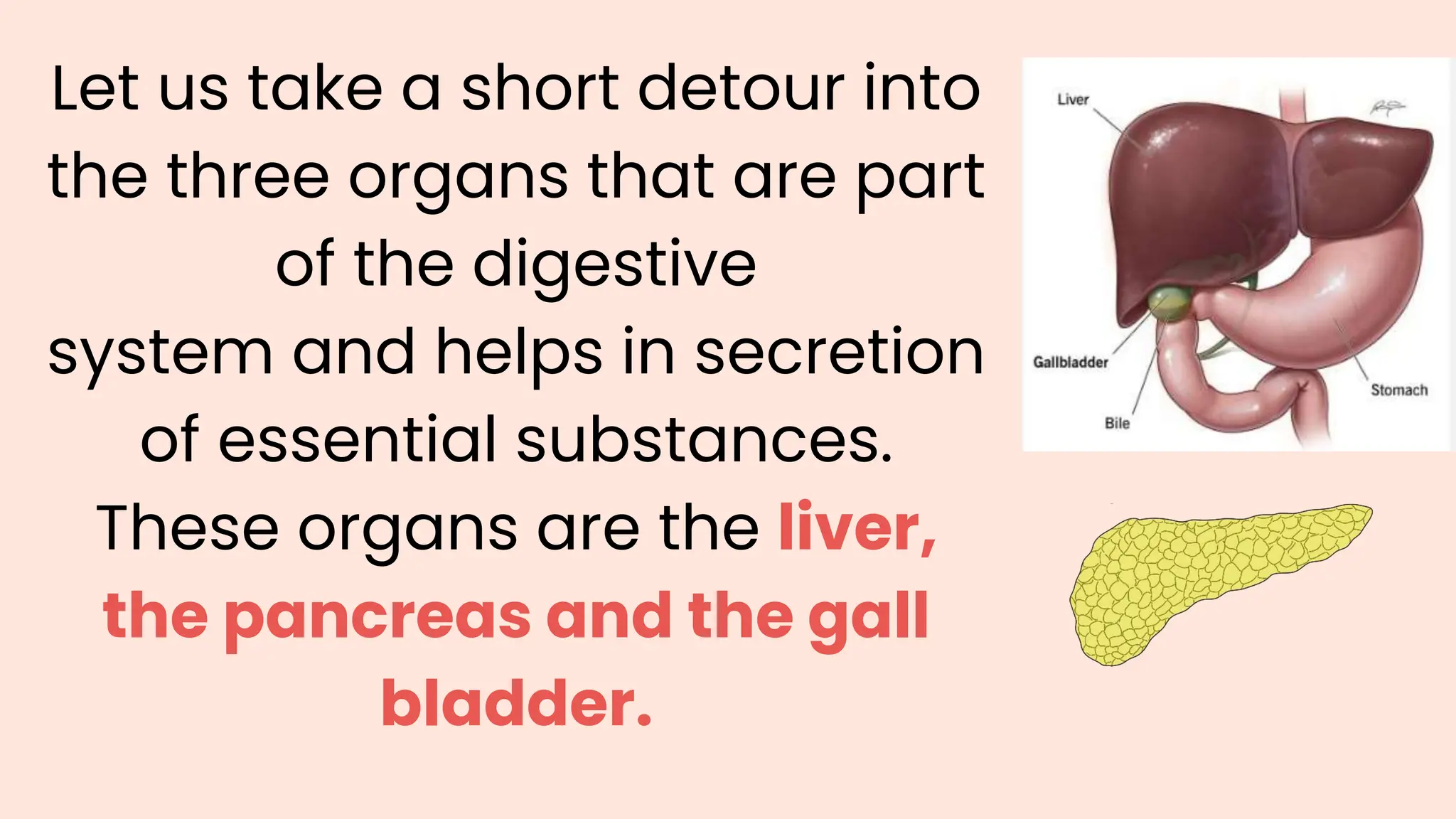Quarter-4-Module-1-Structures-and-Functions-of-the-Digestive-System.pptx