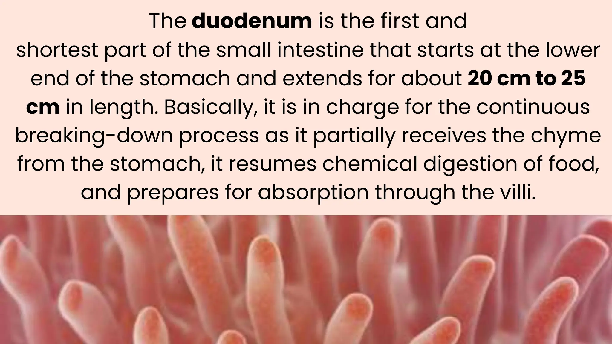 Quarter-4-Module-1-Structures-and-Functions-of-the-Digestive-System.pptx