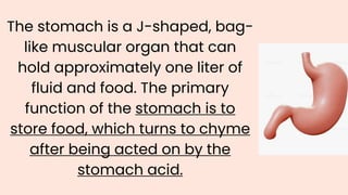 Quarter-4-Module-1-Structures-and-Functions-of-the-Digestive-System.pptx