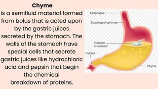 Quarter-4-Module-1-Structures-and-Functions-of-the-Digestive-System.pptx