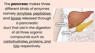 Quarter-4-Module-1-Structures-and-Functions-of-the-Digestive-System.pptx