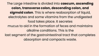 Quarter-4-Module-1-Structures-and-Functions-of-the-Digestive-System.pptx