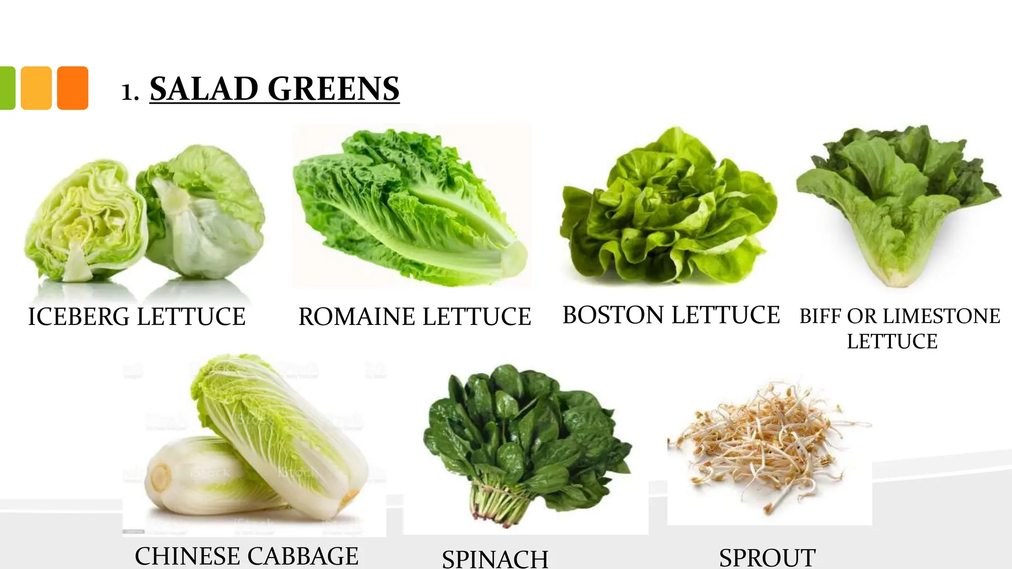 Quarter 2- Week 4- Ingredients for Salad Making.pptx