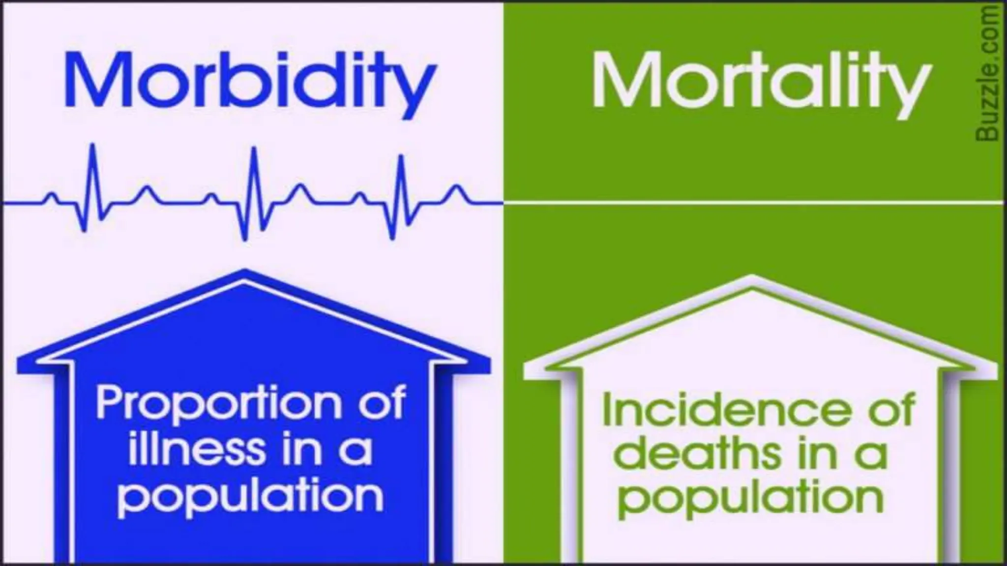 QUARTER 3 HEALTH 8 Stages of Infection (1).pptx | Infectious Diseases ...