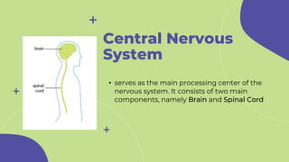 Quarter3_Module3.pptx