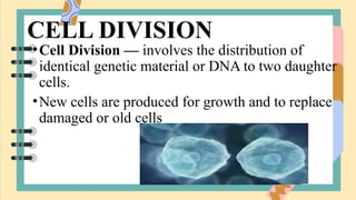 Quarter 4 - THE CELL DIVISION GRADE 8.pptx