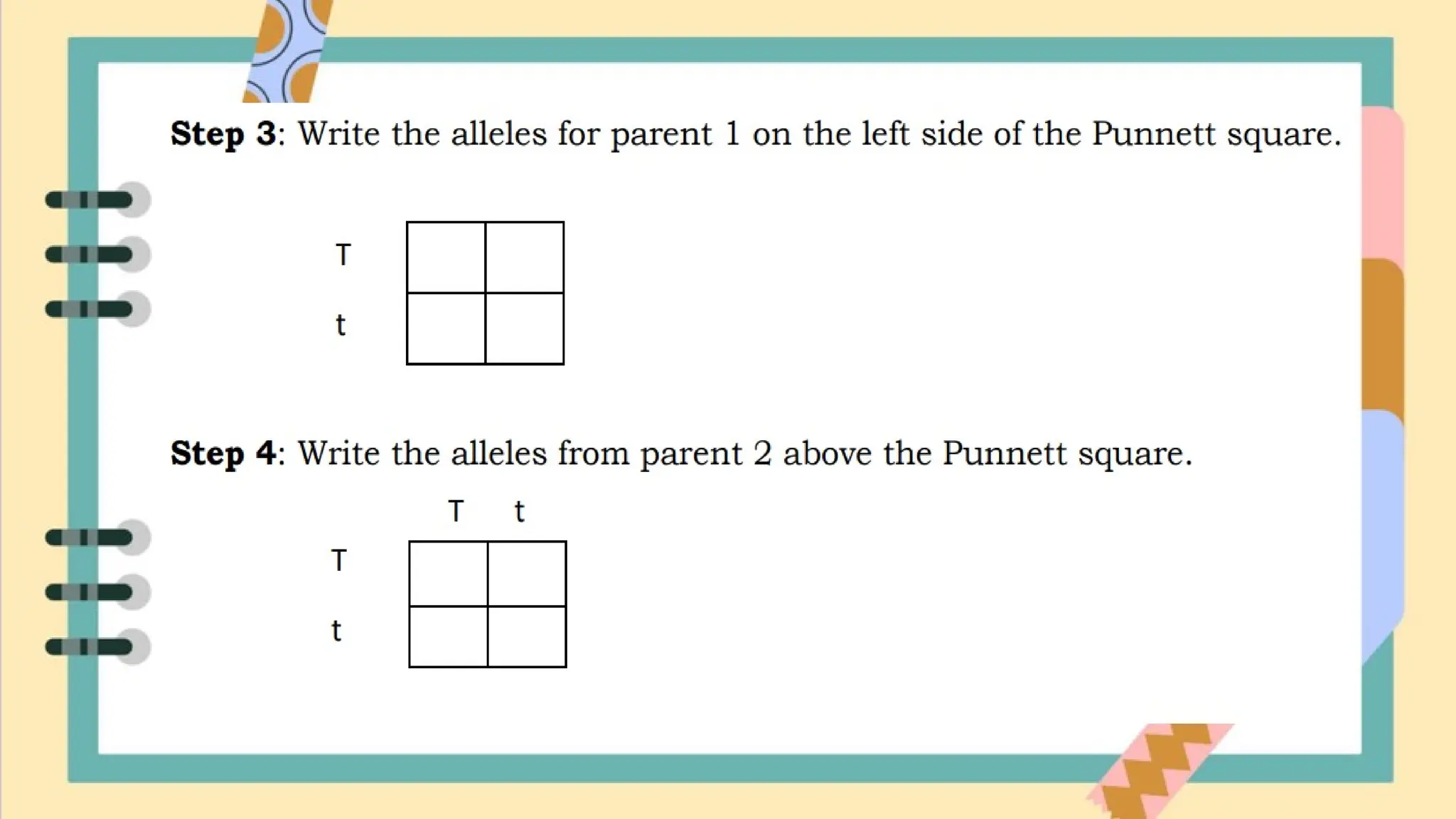 Quarter 4 - THE MENDELIAN GENETICS GRADE 8.pptx