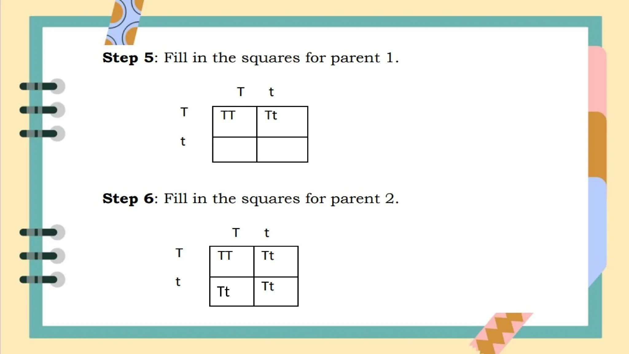 Quarter 4 - THE MENDELIAN GENETICS GRADE 8.pptx