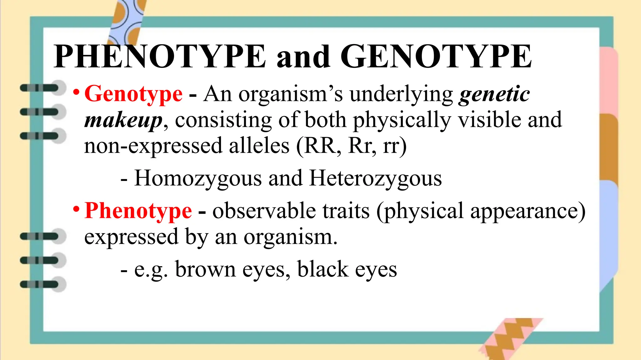 Quarter 4 - THE MENDELIAN GENETICS GRADE 8.pptx