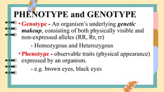 Quarter 4 - THE MENDELIAN GENETICS GRADE 8.pptx