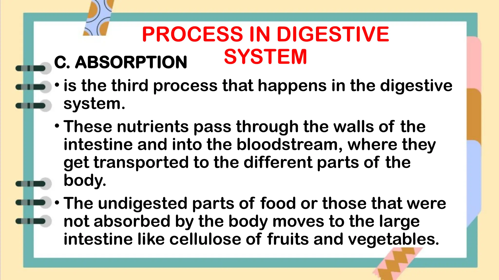 Quarter 4 - THE DIGESTIVE SYSTEM grade 8.pptx
