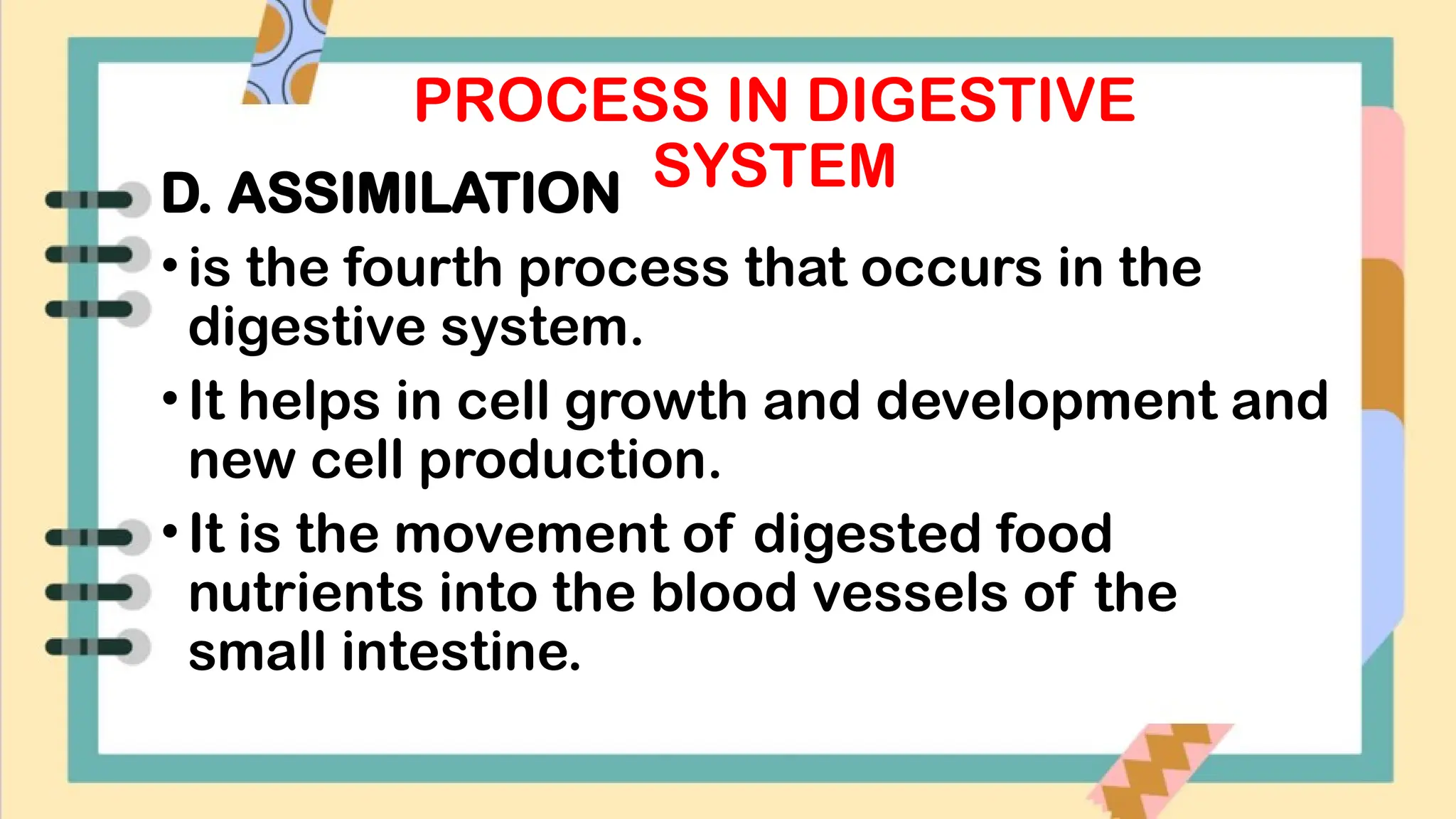 Quarter 4 - THE DIGESTIVE SYSTEM grade 8.pptx