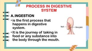 Quarter 4 - THE DIGESTIVE SYSTEM grade 8.pptx