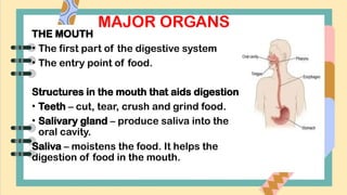 Quarter 4 - THE DIGESTIVE SYSTEM grade 8.pptx