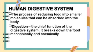 Quarter 4 - THE DIGESTIVE SYSTEM grade 8.pptx