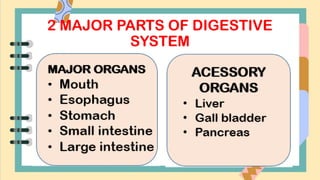 Quarter 4 - THE DIGESTIVE SYSTEM grade 8.pptx