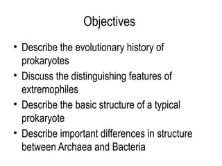 Quarter 4 Chapter 1 The Structure of Prokaryotes.pptx
