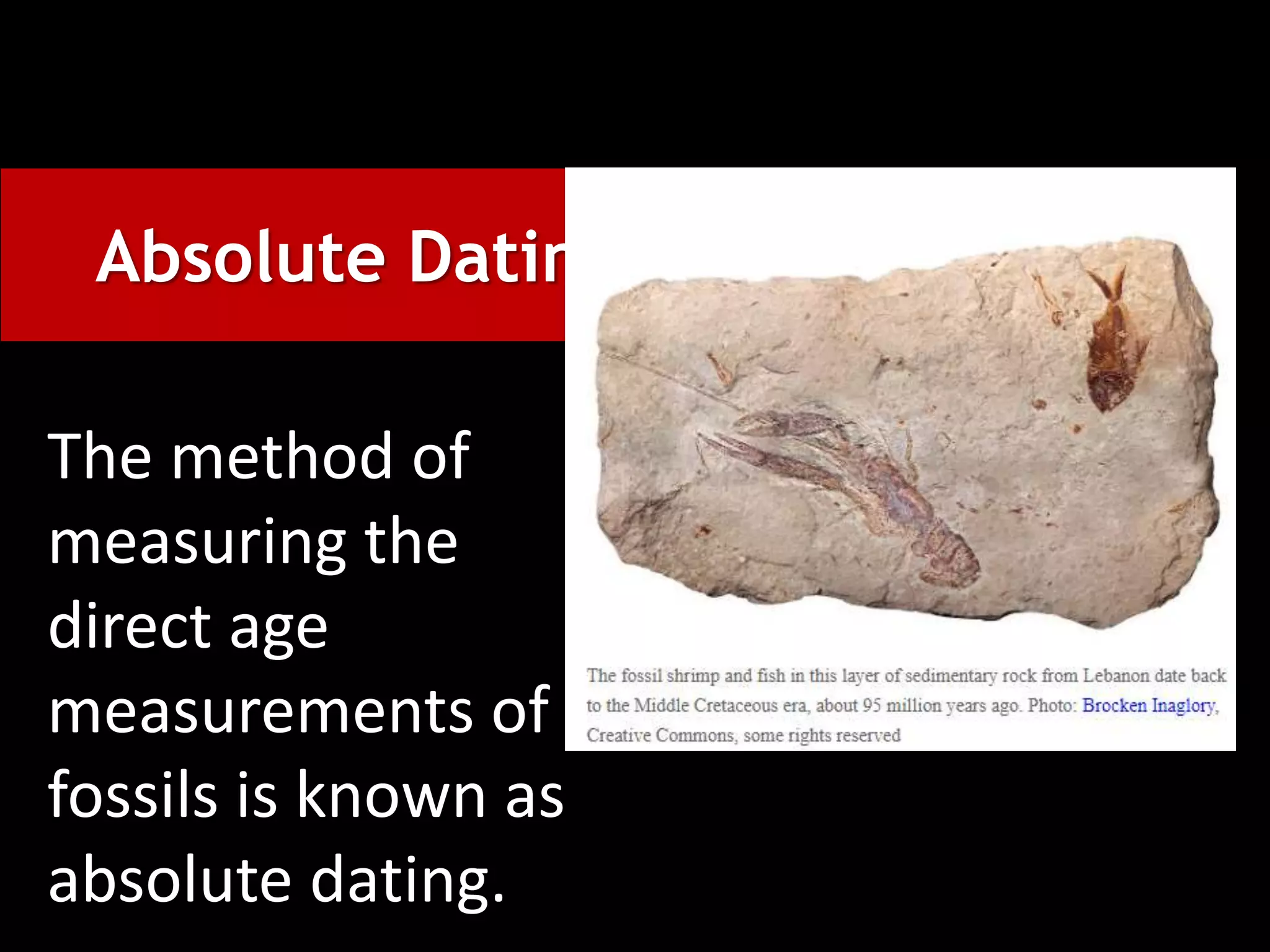 Quarter 4 Week 7 Defining and Identifying Subdivisions of Geologic Time Scale Using Index Fossil ...
