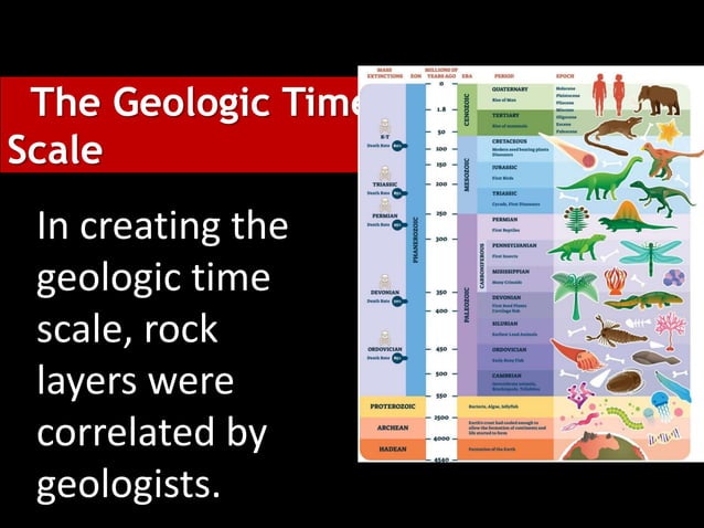 Quarter 4 Week 7 Defining and Identifying Subdivisions of Geologic Time ...