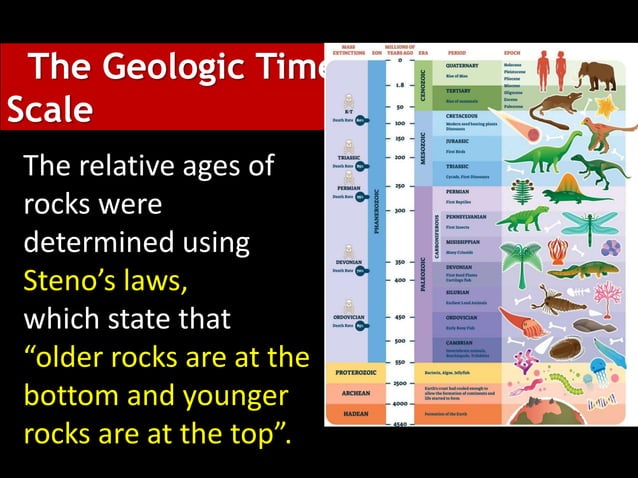 Quarter 4 Week 7 Defining and Identifying Subdivisions of Geologic Time ...