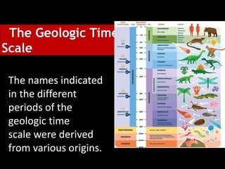 Quarter 4 Week 7 Defining and Identifying Subdivisions of Geologic Time Scale Using Index Fossil ...