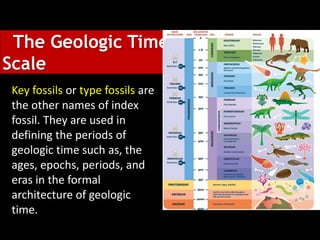Quarter 4 Week 7 Defining and Identifying Subdivisions of Geologic Time Scale Using Index Fossil ...