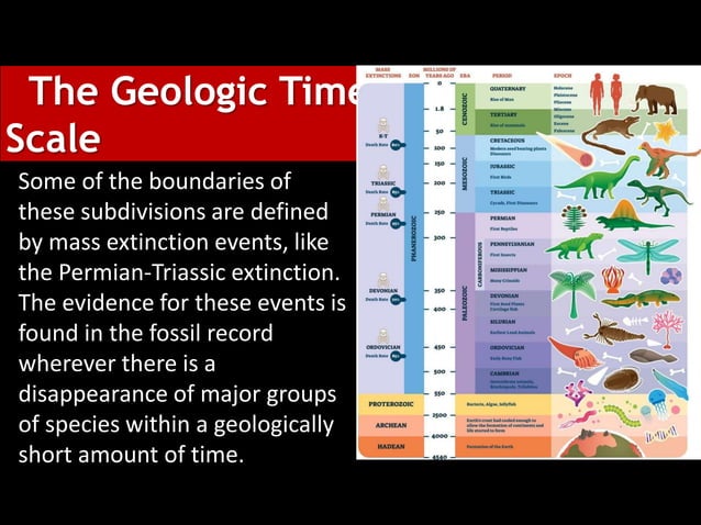 Quarter 4 Week 7 Defining and Identifying Subdivisions of Geologic Time ...