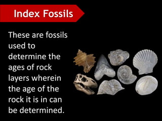 Quarter 4 Week 7 Defining and Identifying Subdivisions of Geologic Time Scale Using Index Fossil ...