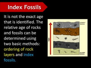 Quarter 4 Week 7 Defining and Identifying Subdivisions of Geologic Time ...