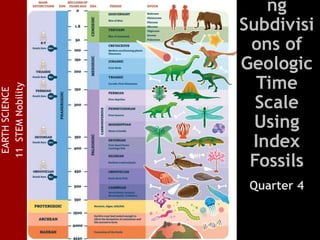 Index Fossil Chart