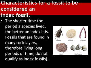 What Is An Important Characteristic Of An Index Fossil Shop ...