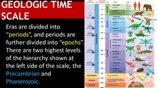 Quarter 4 Week 8 Describing the History of Earth Through Geologic Time ...