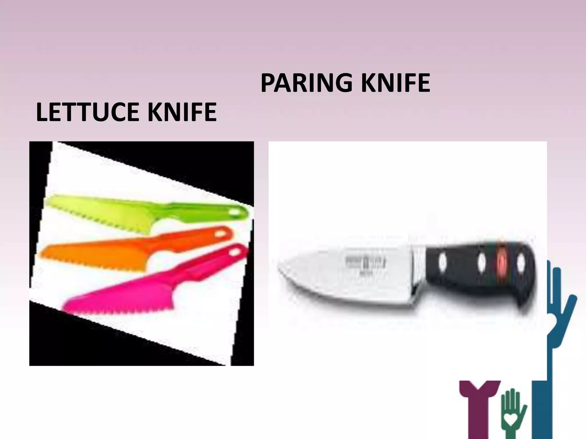 T.L.E. Grade 9 Cookery Lessons | PPTX