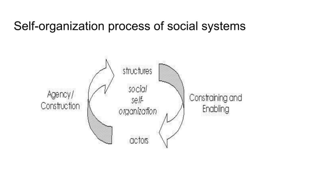 Quasi realism science as self-organizing meta-information system a ...