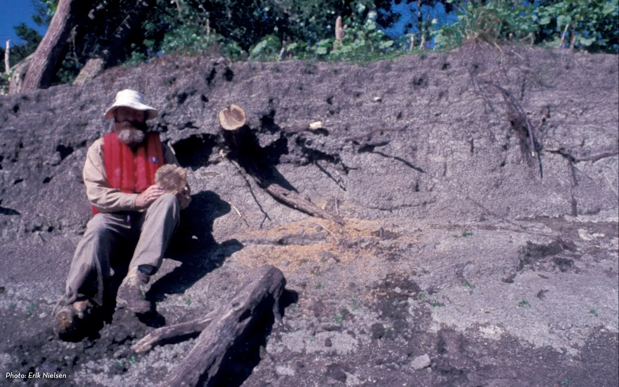 Tree rings as climate proxies on the northern Plains | PDF