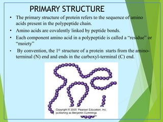 Quaternary structure of proteins | PPTX